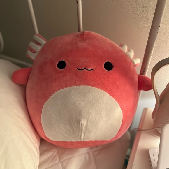 Squishmallows | Toys | Archie Squishmallow | Poshmark